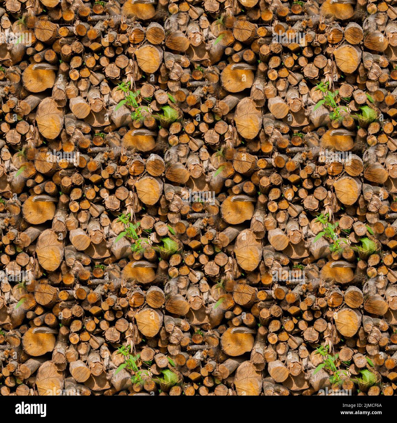 Textiles, wallpapers, packaging. The logs - the cut logs lie on top of ...