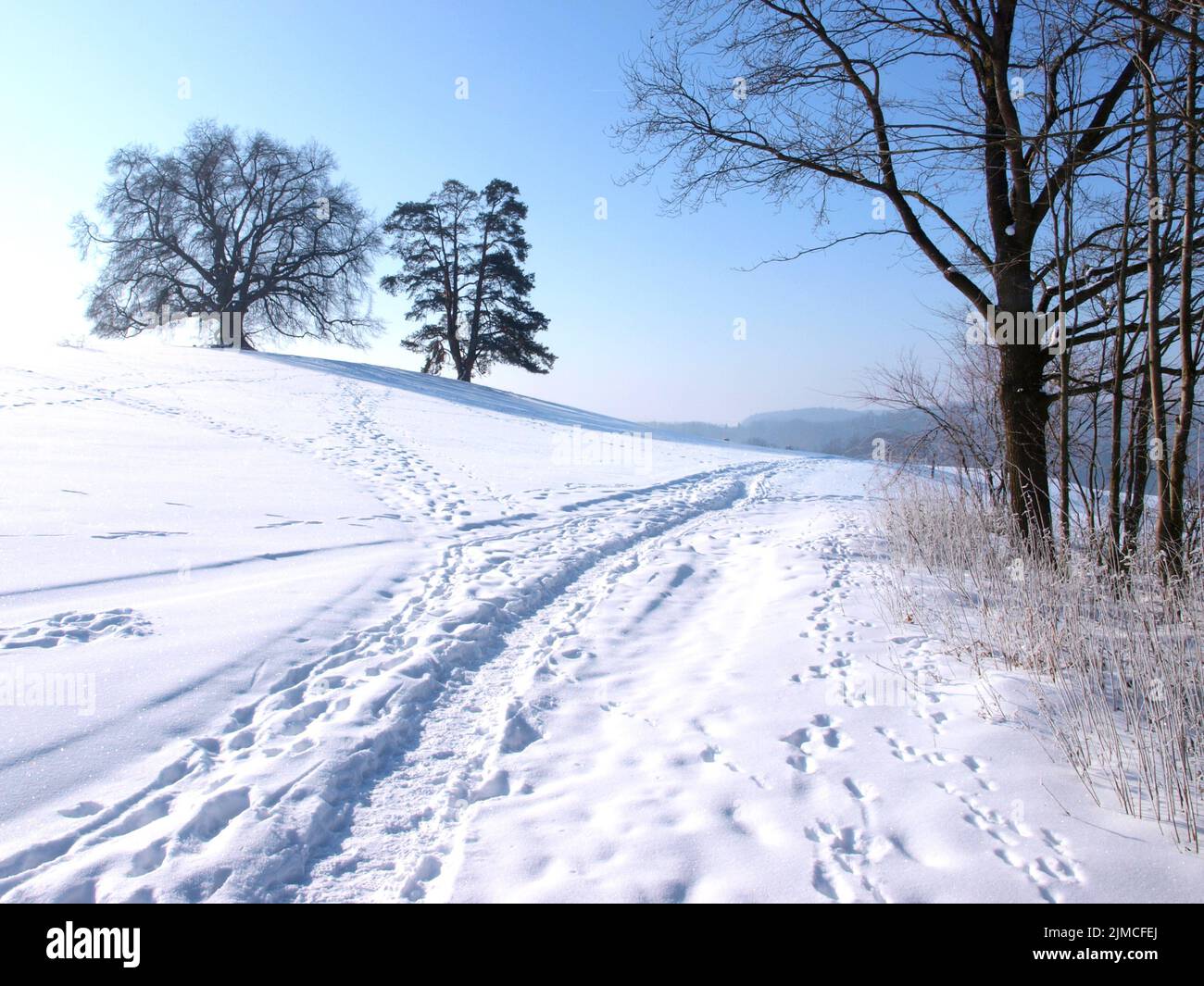 Snow path with tracks hi-res stock photography and images - Alamy