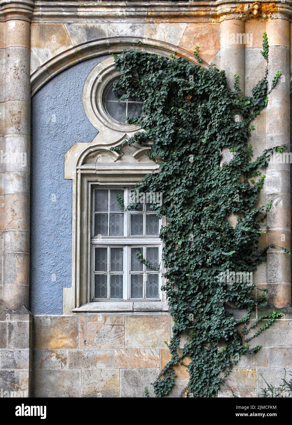 Tall pattern hi-res stock photography and images - Alamy