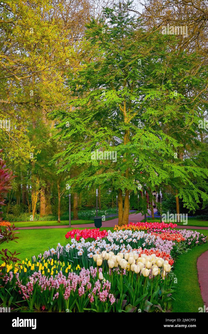 Spring in the park Stock Photo - Alamy