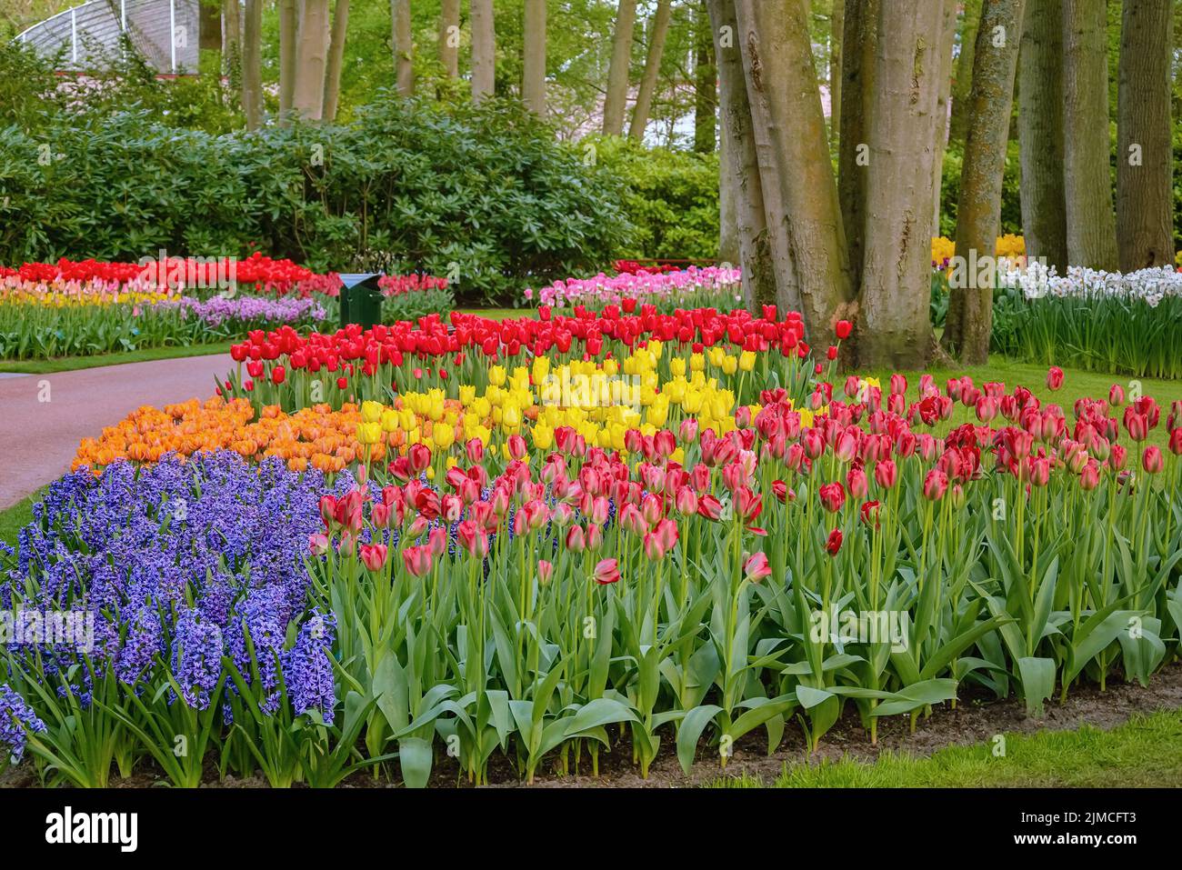 Spring in the park Stock Photo - Alamy