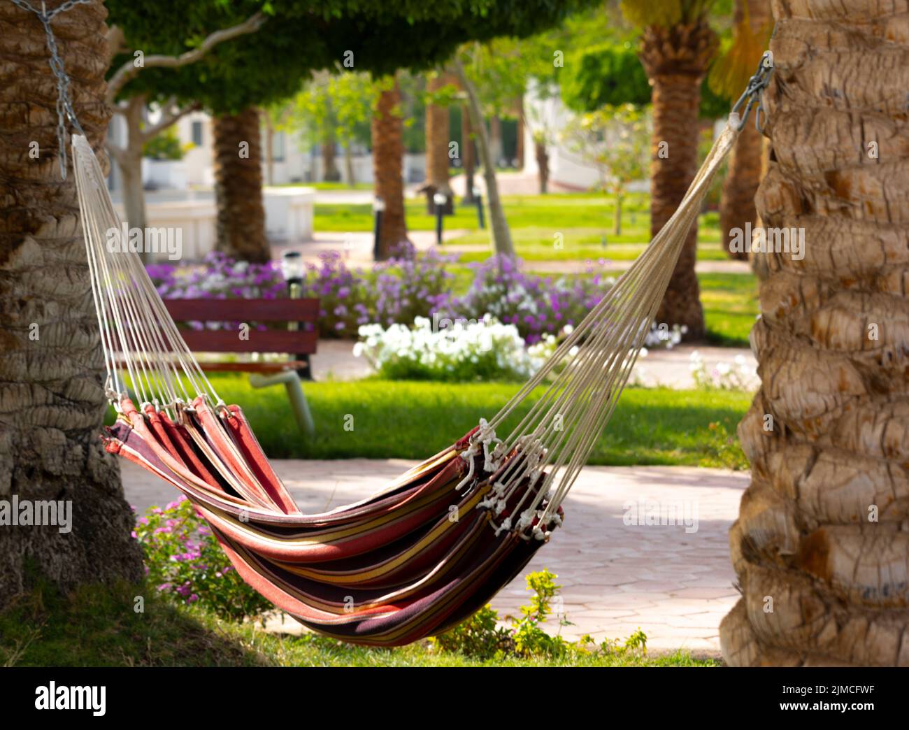 Motion hammock between trees in hi-res stock photography and images - Alamy