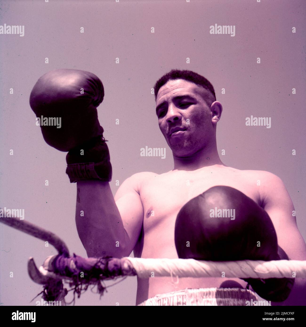 1951, London, England, United Kingdom: RANDOLPH ADOLPHUS TURPIN (7 June ...