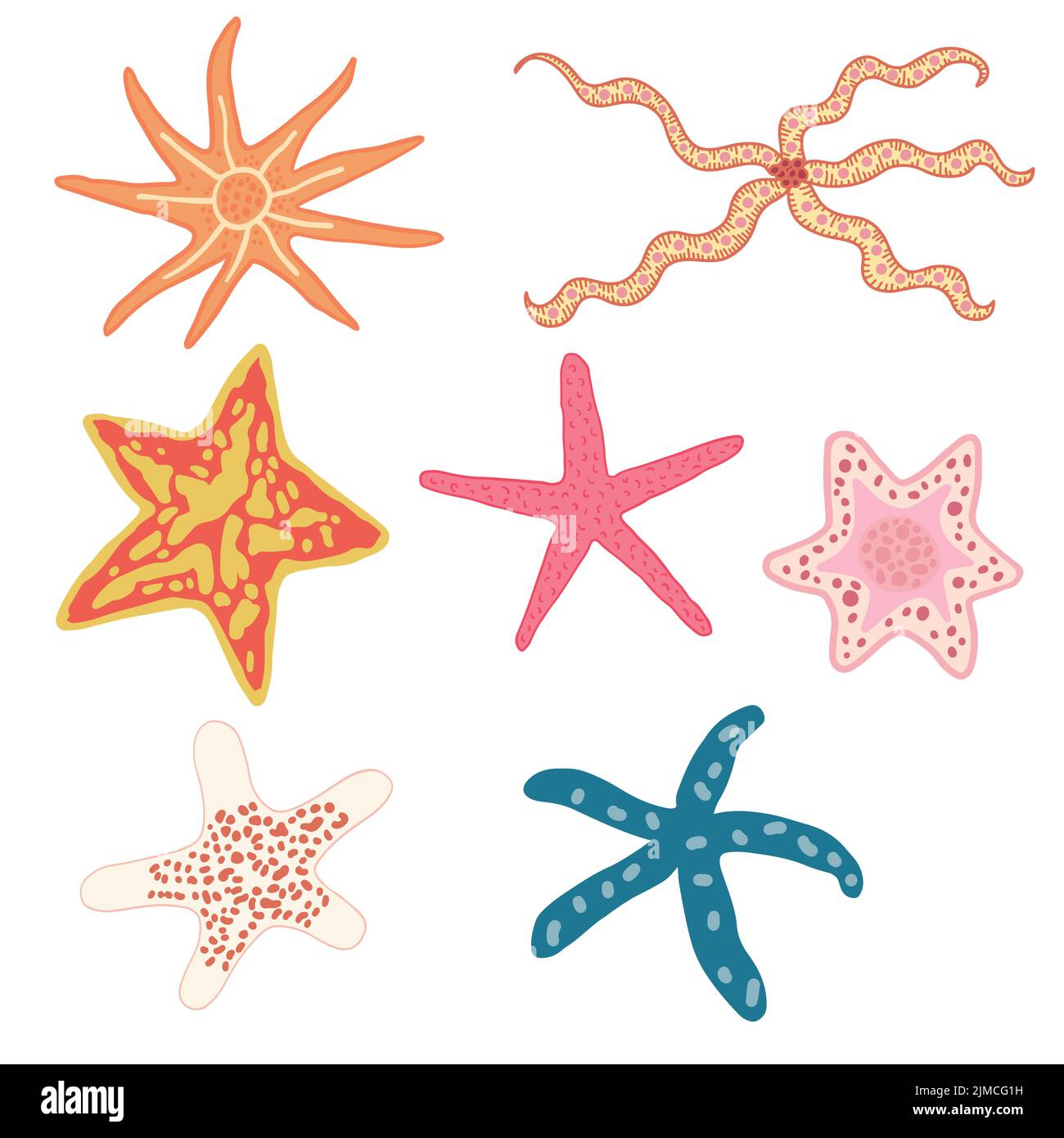 Sea stars hand drawn vector illustration collection Stock Vector Image ...