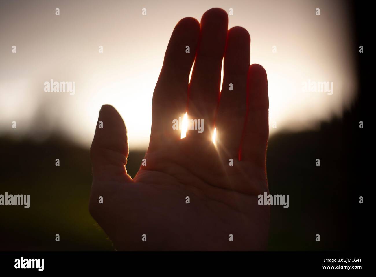Palm against background of sun. Hand is in details. Fingers let in ...