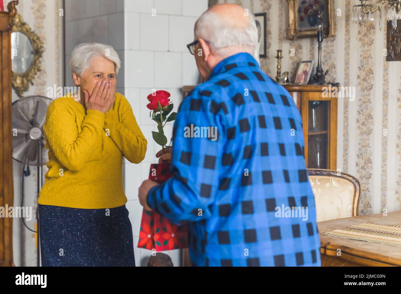 Loving caucasian elderly husband surprising his wife with a red rose and a gift bag on Valentine ...