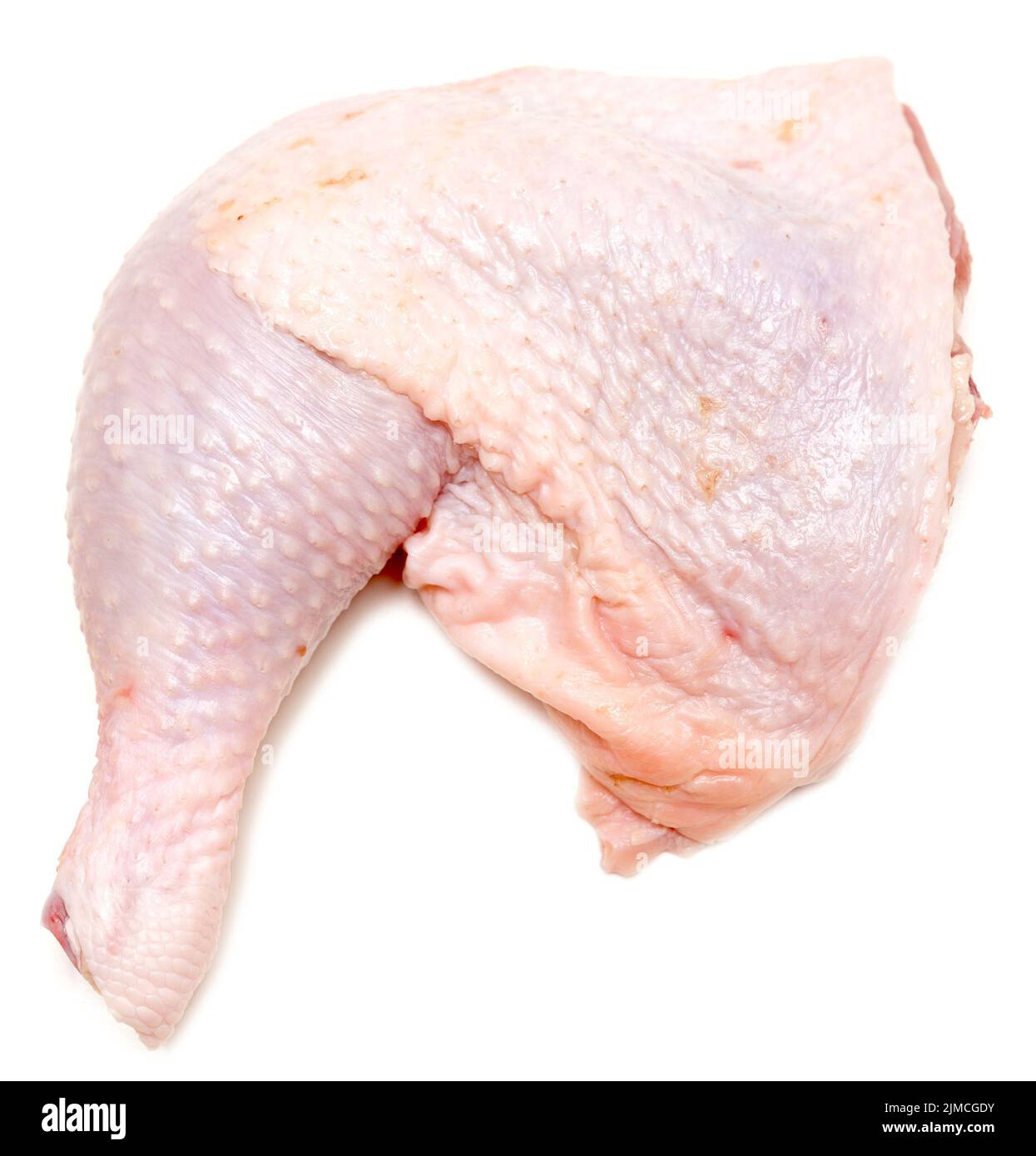 Animal bird leg skin Cut Out Stock Images & Pictures - Alamy