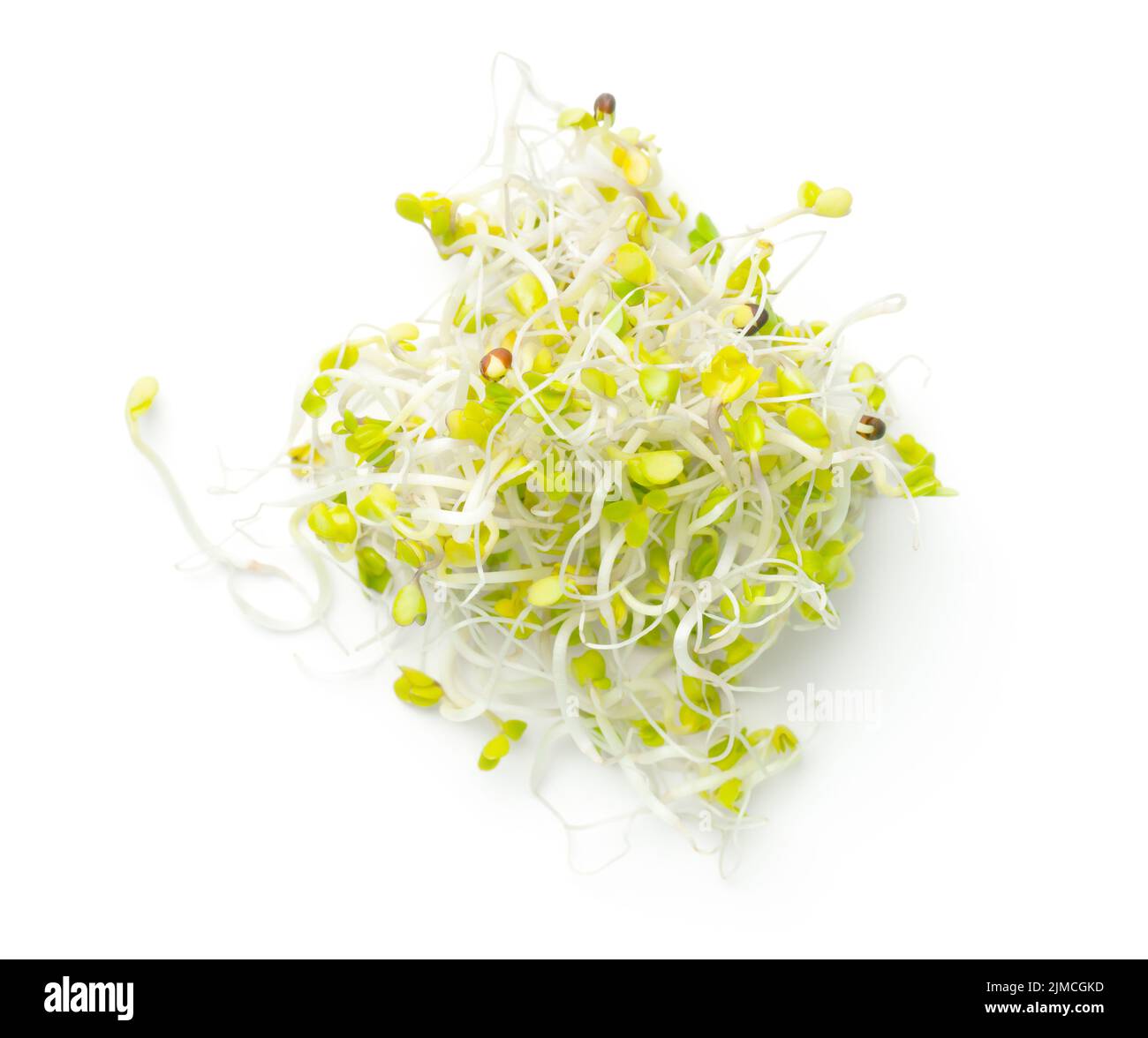 Broccoli sprouts hi-res stock photography and images - Alamy