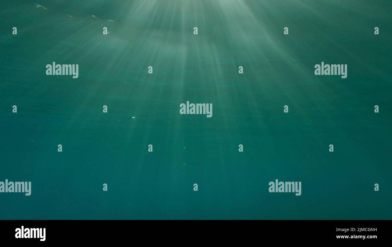 Sunrays penetrate through the surface of the water. Underwater light ...