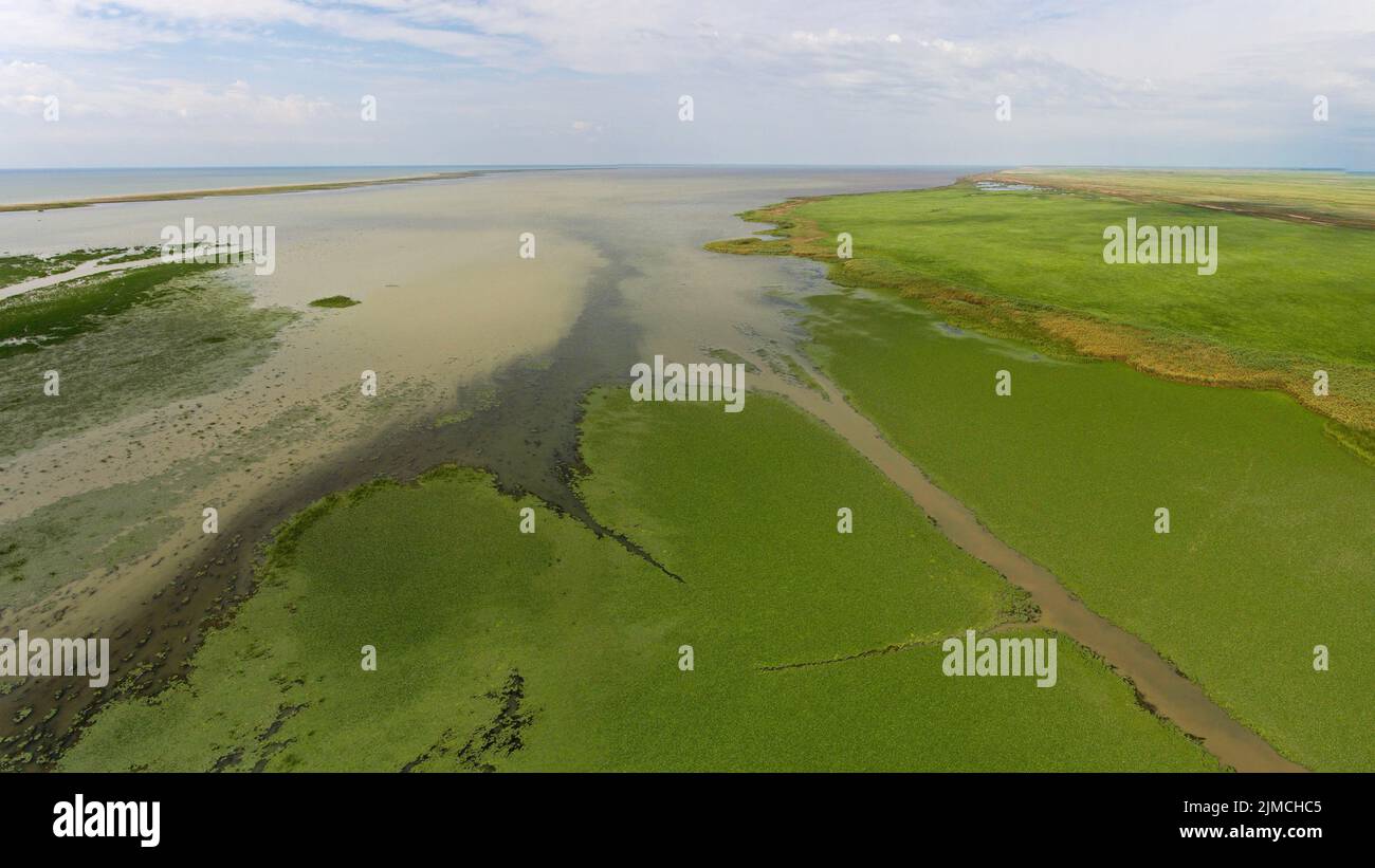 Laguna Sacalin, drone image, aerial photograph, Danube Delta Biosphere ...