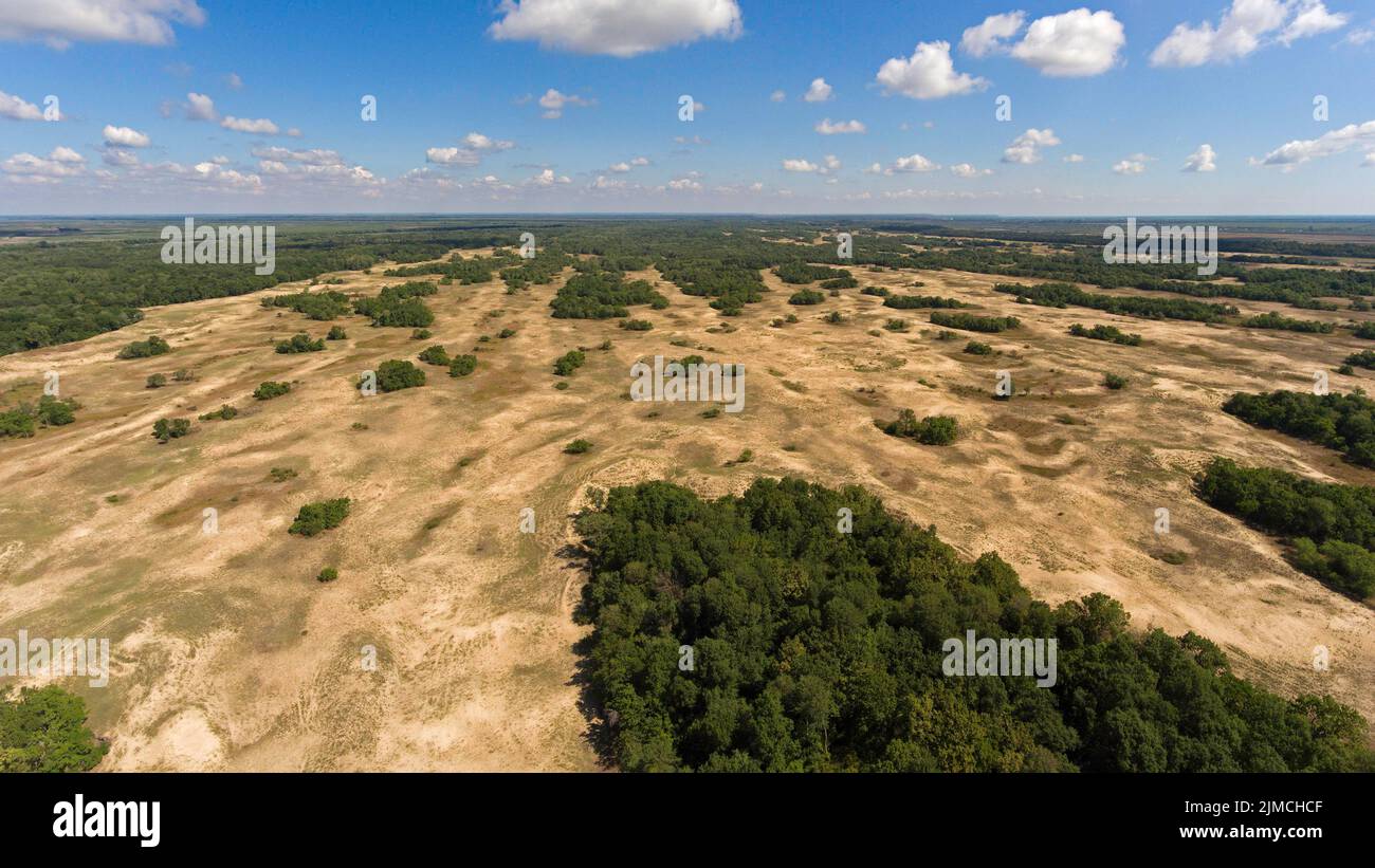 Letea Forest, Europe's northernmost subtropical forest, Grindul Letea ...