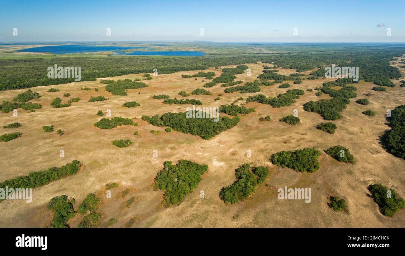 Letea Forest, Europe's northernmost subtropical forest, Grindul Letea ...