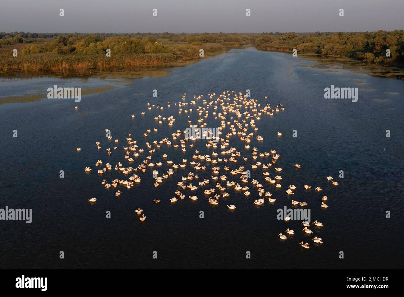 River delta bird's eye hi-res stock photography and images - Alamy