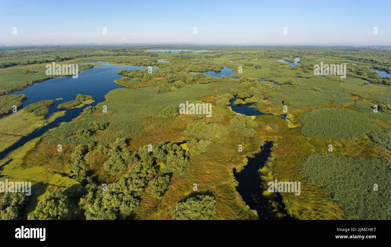 Danube River Delta, landscape with lakes, canals, reed beds, drone shot ...