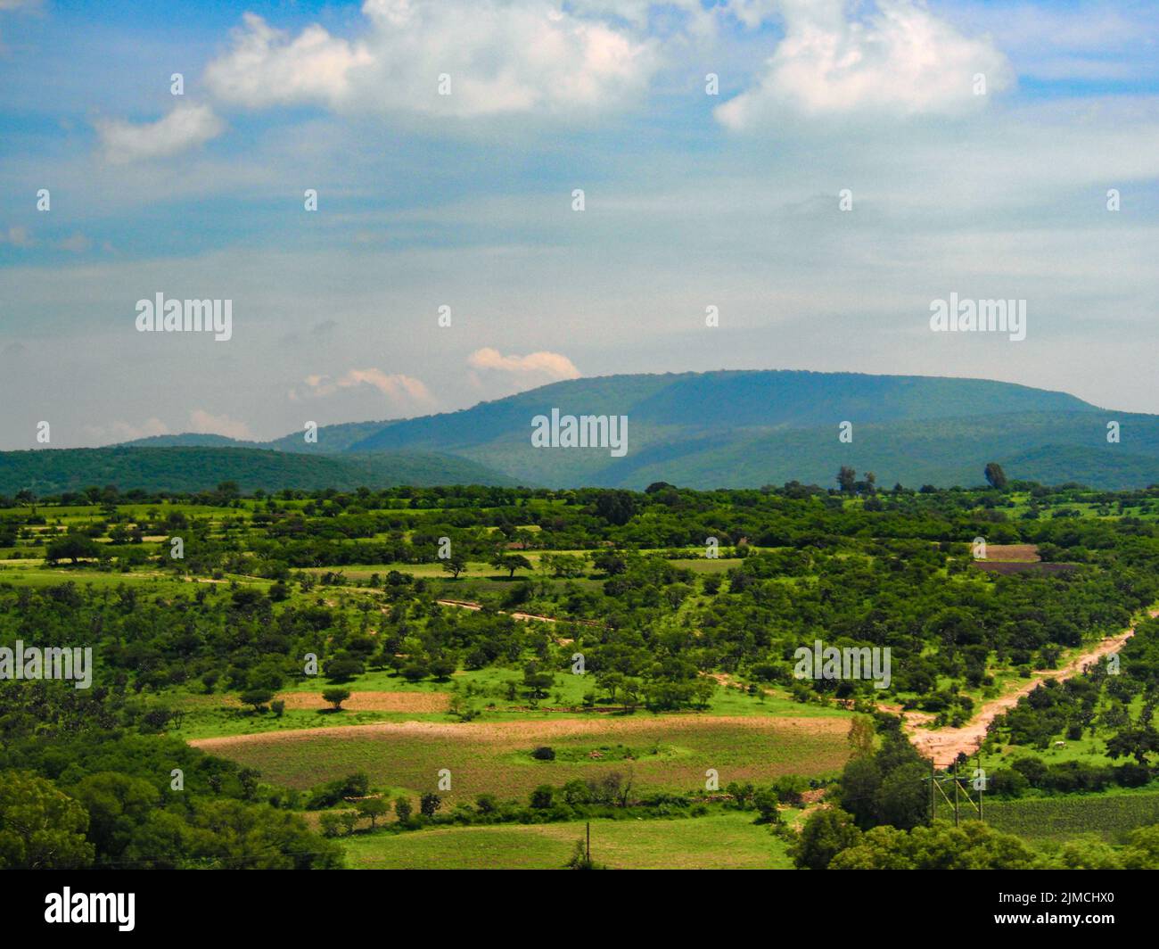 Rolling hill green countryside rural area beautiful calm Stock Photo ...