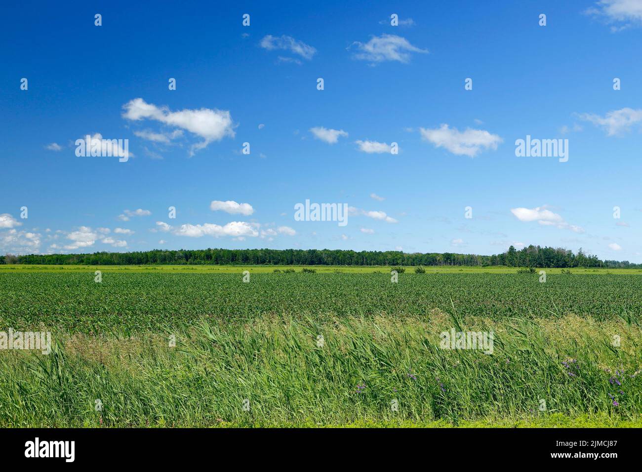 Farmland landscape photography hi-res stock photography and images - Alamy