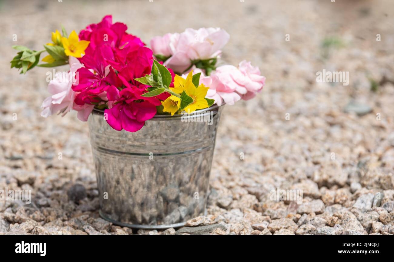 A single bucket full of flowers in nature Stock Photo - Alamy