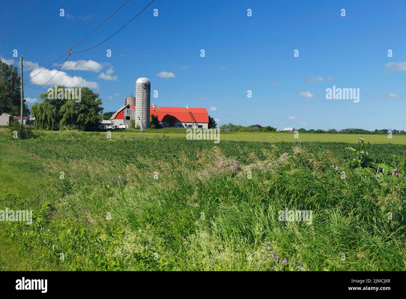 Barn, Field, farmland landscape, Province of Quebec, Canada Stock Photo ...