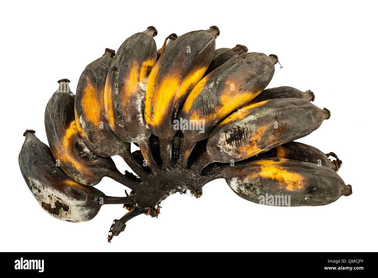 Yellow dots on black Cut Out Stock Images & Pictures - Alamy