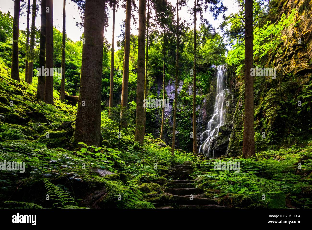 Waterfall with old stone steps in the green forest, the Burgbach ...