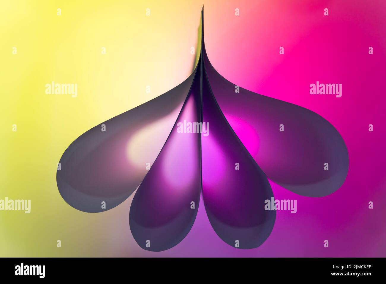 Folded backlit paper abstract flower shape suitabe as wallpaper Stock ...