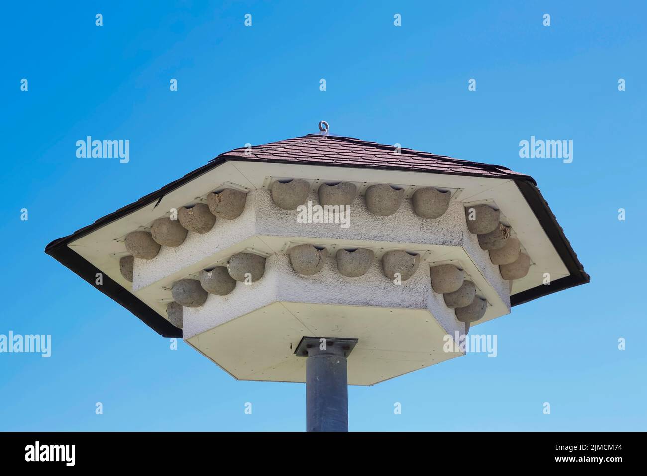 Swallow house, swallow tower, bird house, nest, breeding place, bird ...