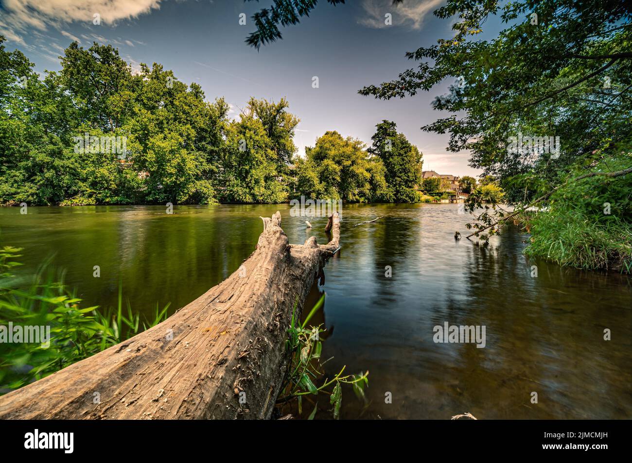 Long exposure of a tree in the river Saale in Paradies Park under blue ...