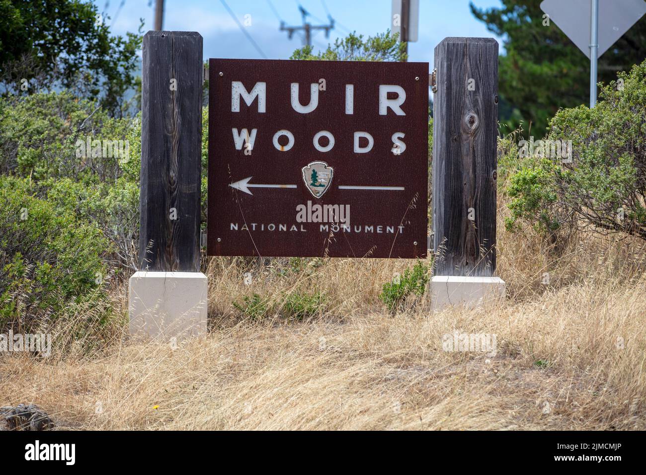 Muir Woods National Historic Site, California, USA Stock Photo - Alamy