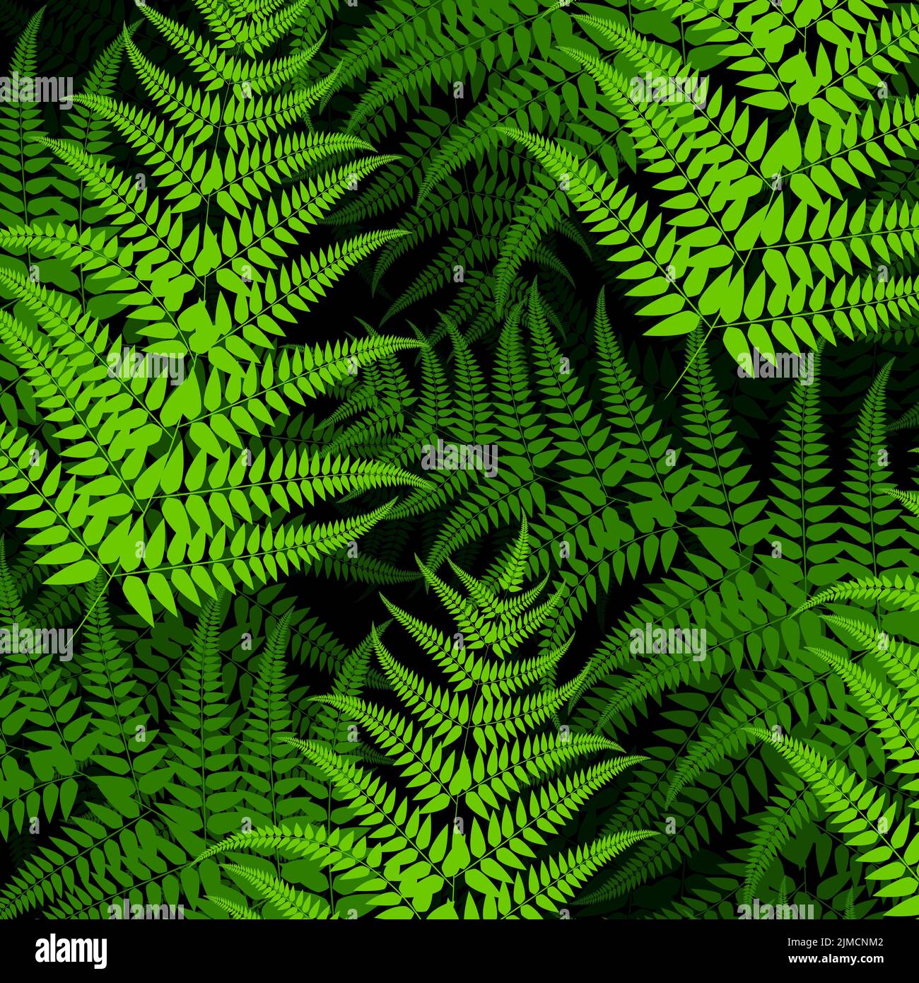 Fern ornament hi-res stock photography and images - Alamy