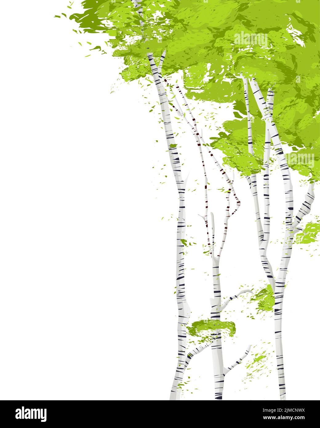 Birch trees romantic vector template on white background Stock Photo ...