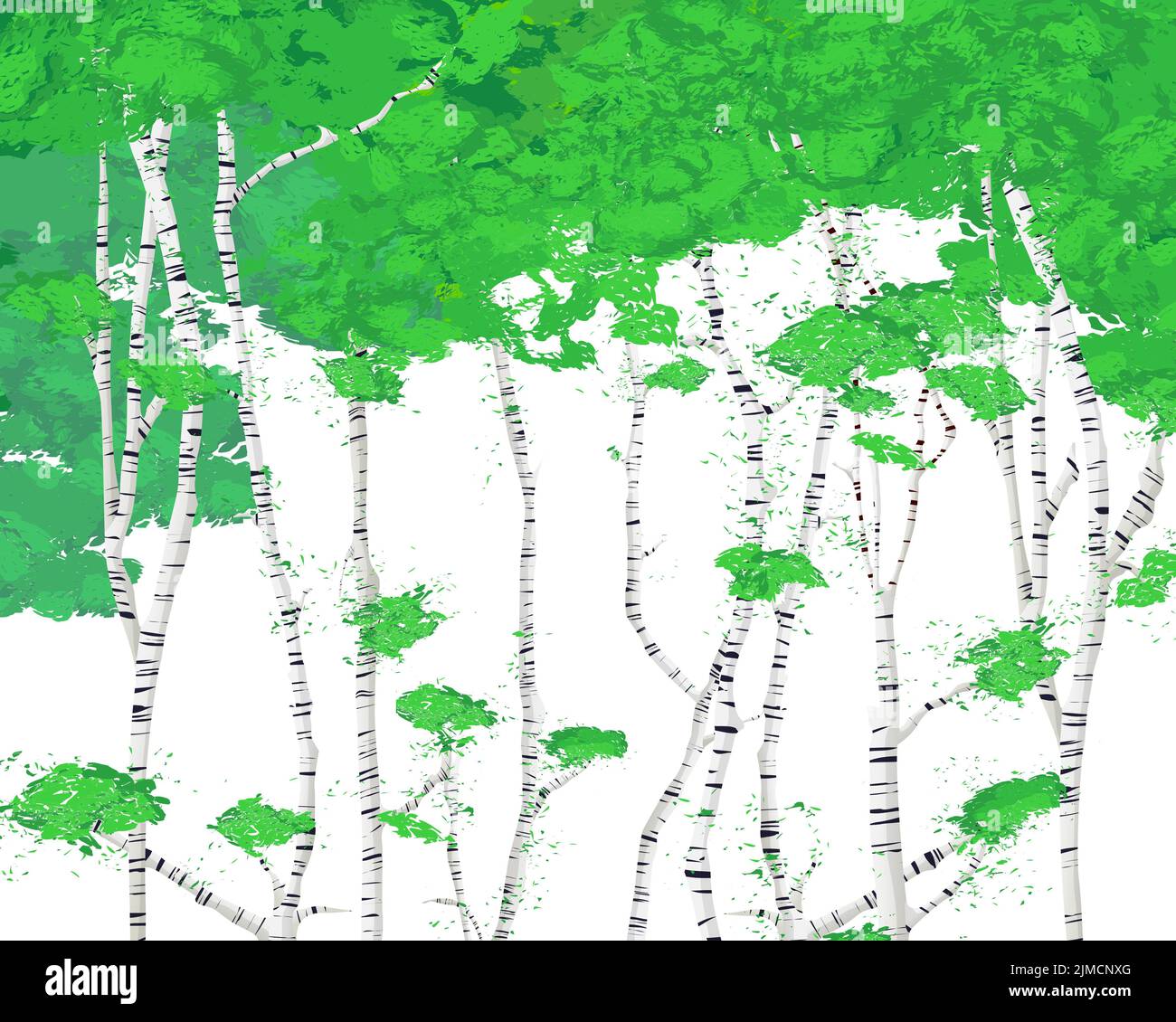 Birch grove background for your design, vector illustration Stock Photo ...
