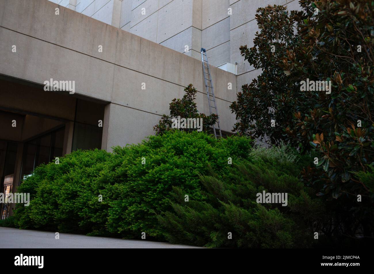 An ominous and liminal ladder in the middle of a building Stock Photo ...