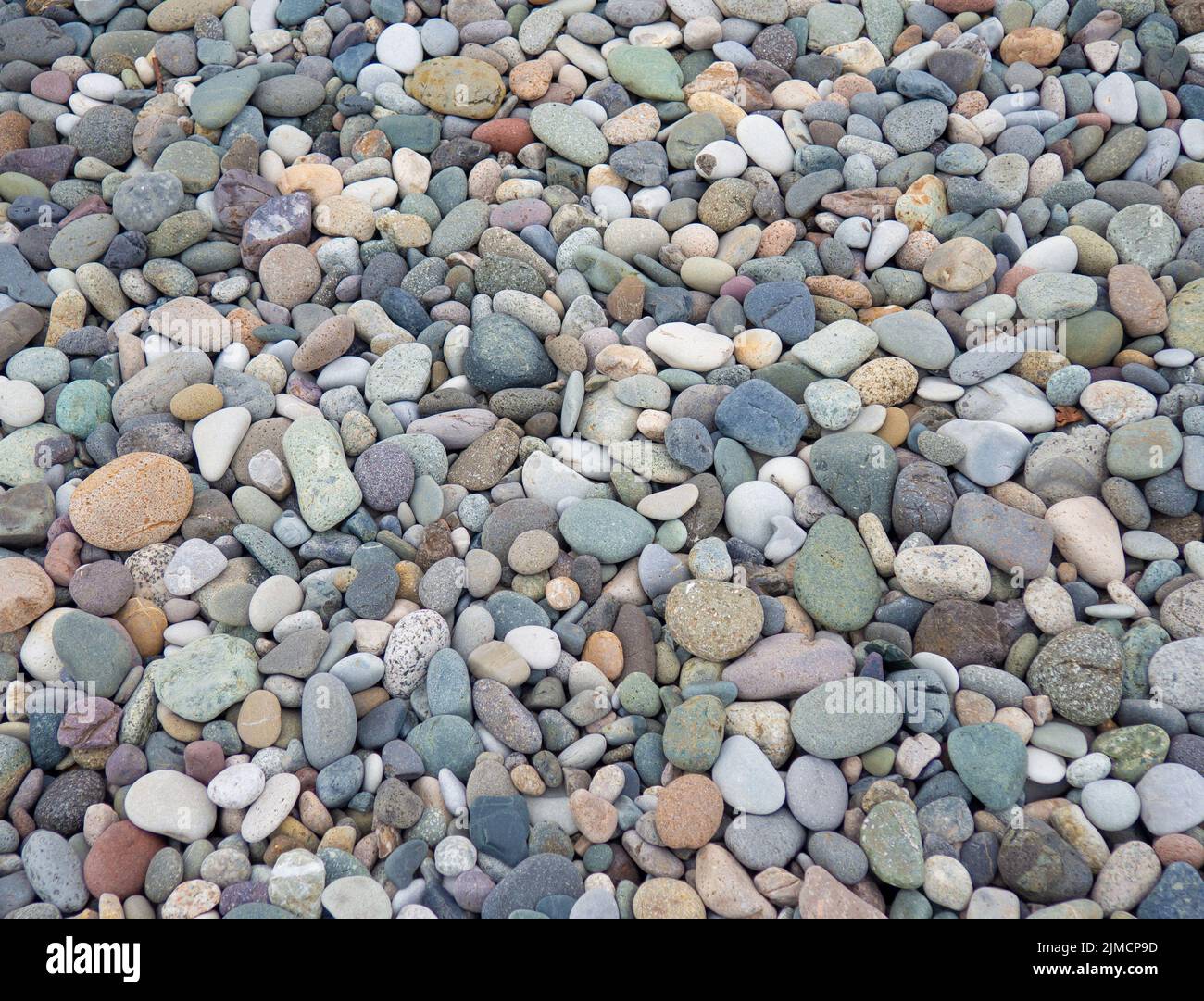 Large beach pebble. Background of small stones. Gray background from ...