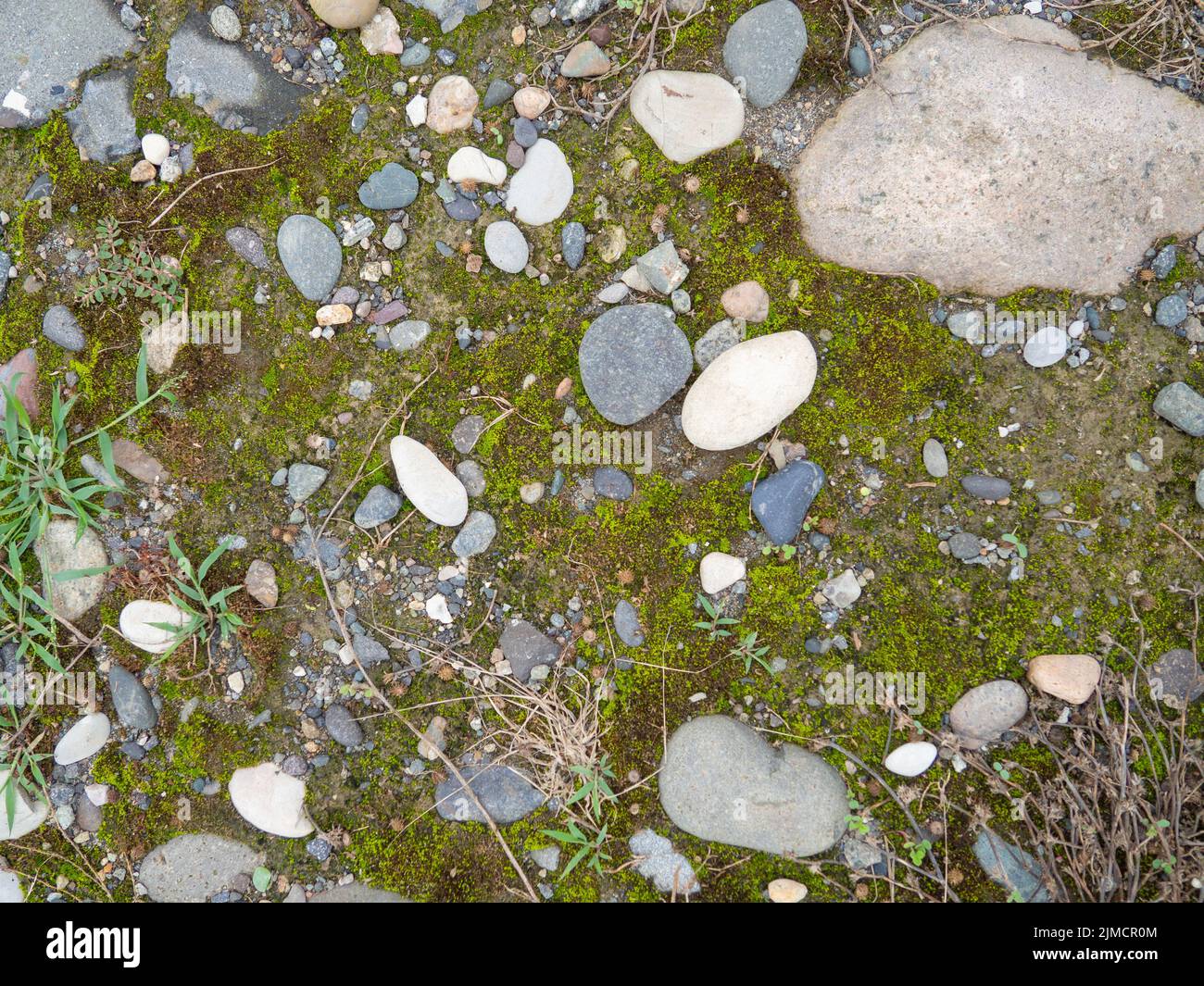 Background from earth, stones and moss. Ground under your feet. Pattern ...