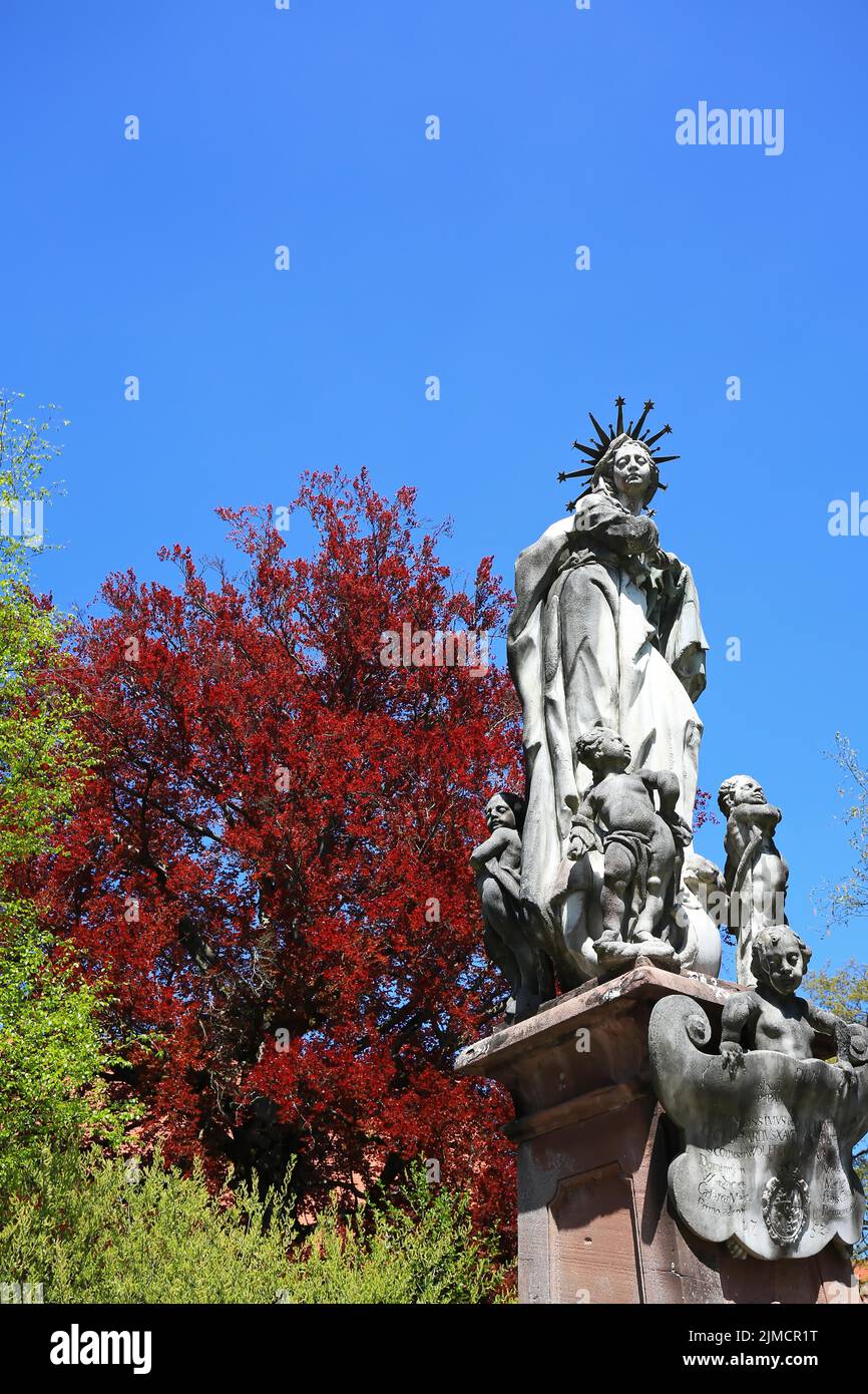 Castle in the centre of Bad Waldsee, Ravensburg, Tuebingen, Baden ...