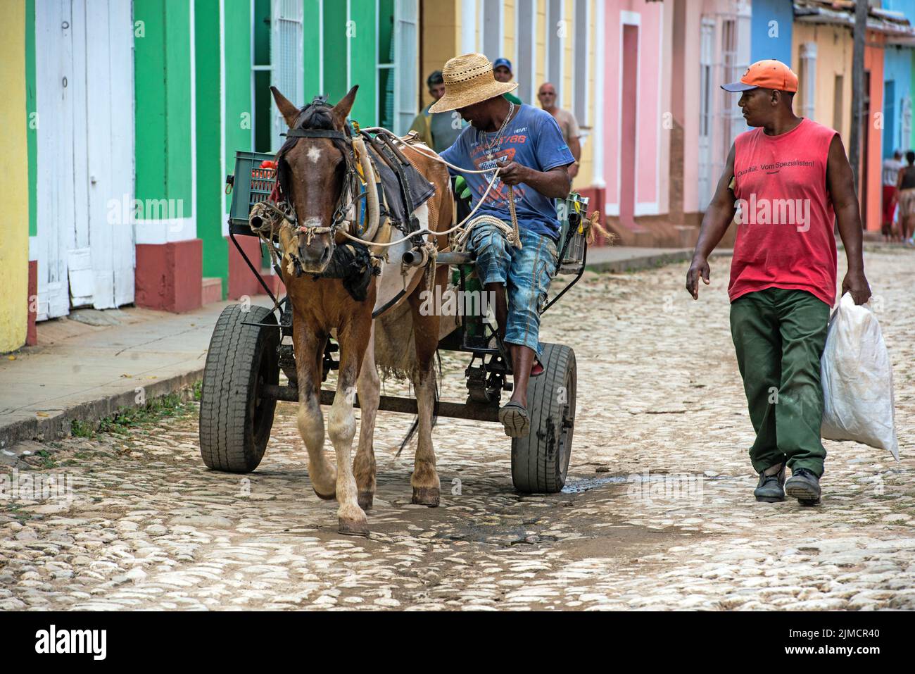 Cuban team of horses in Trinidad Stock Photo - Alamy