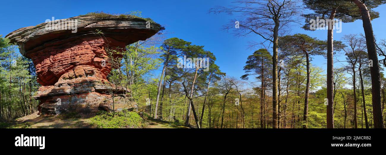 The Devil's Table at the Old Castle Rocks near Eppenbrunn. Eppenbrunn ...
