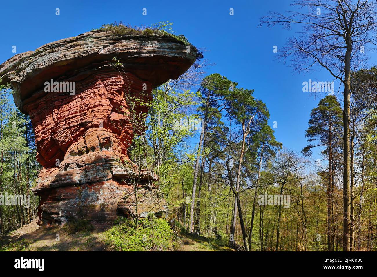 The Devil's Table at the Old Castle Rocks near Eppenbrunn. Eppenbrunn ...