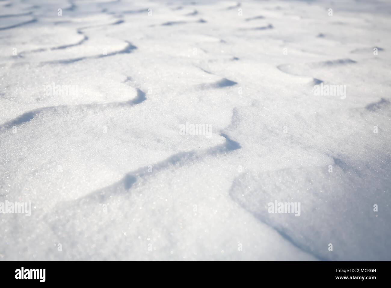 Snow drifts caused by wind from powder snow look like dunes and form ...
