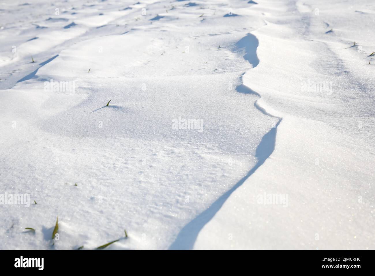 Snow drifts caused by wind from powder snow look like dunes and form ...