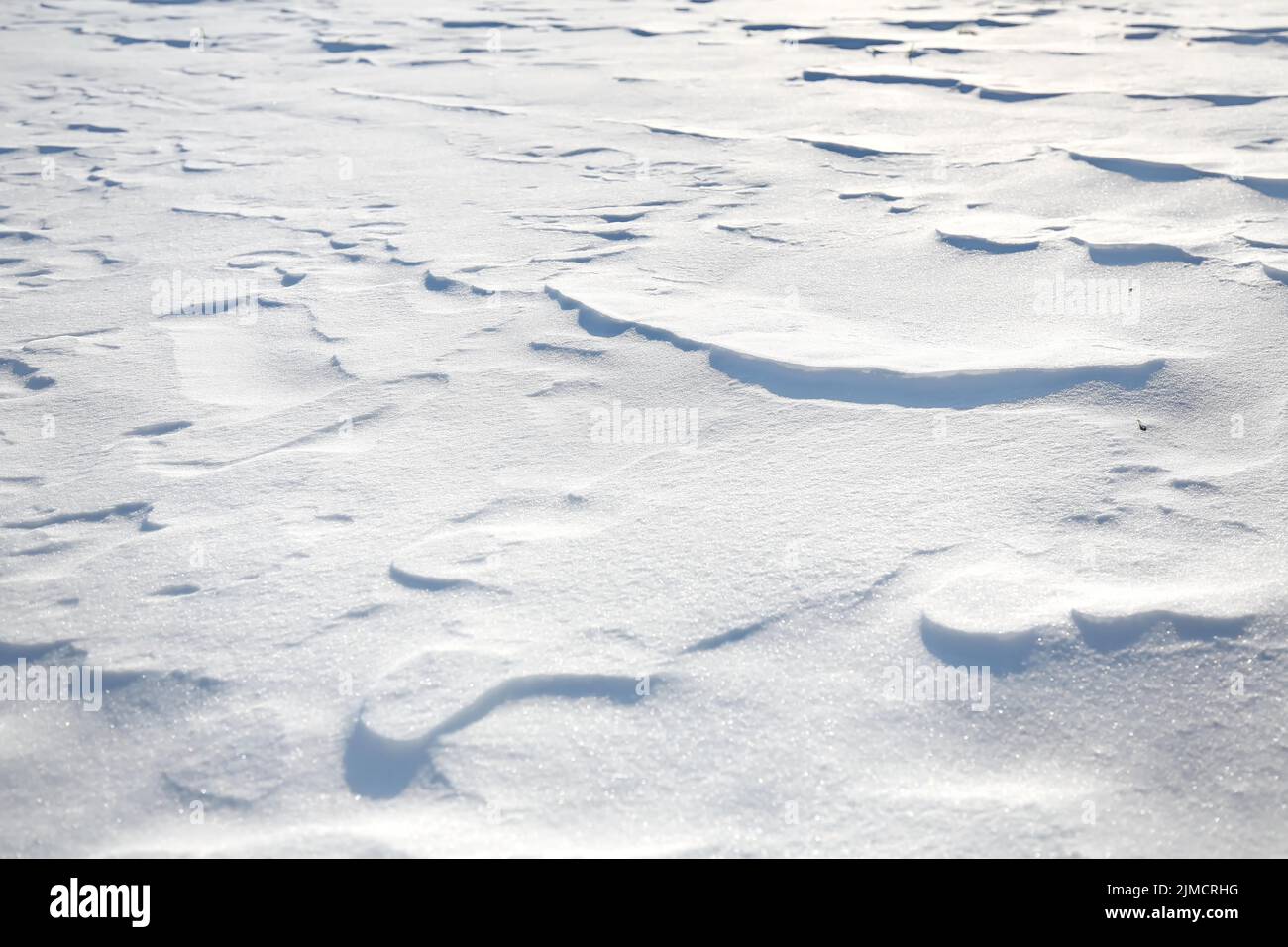 Snow drifts caused by wind from powder snow look like dunes and form ...