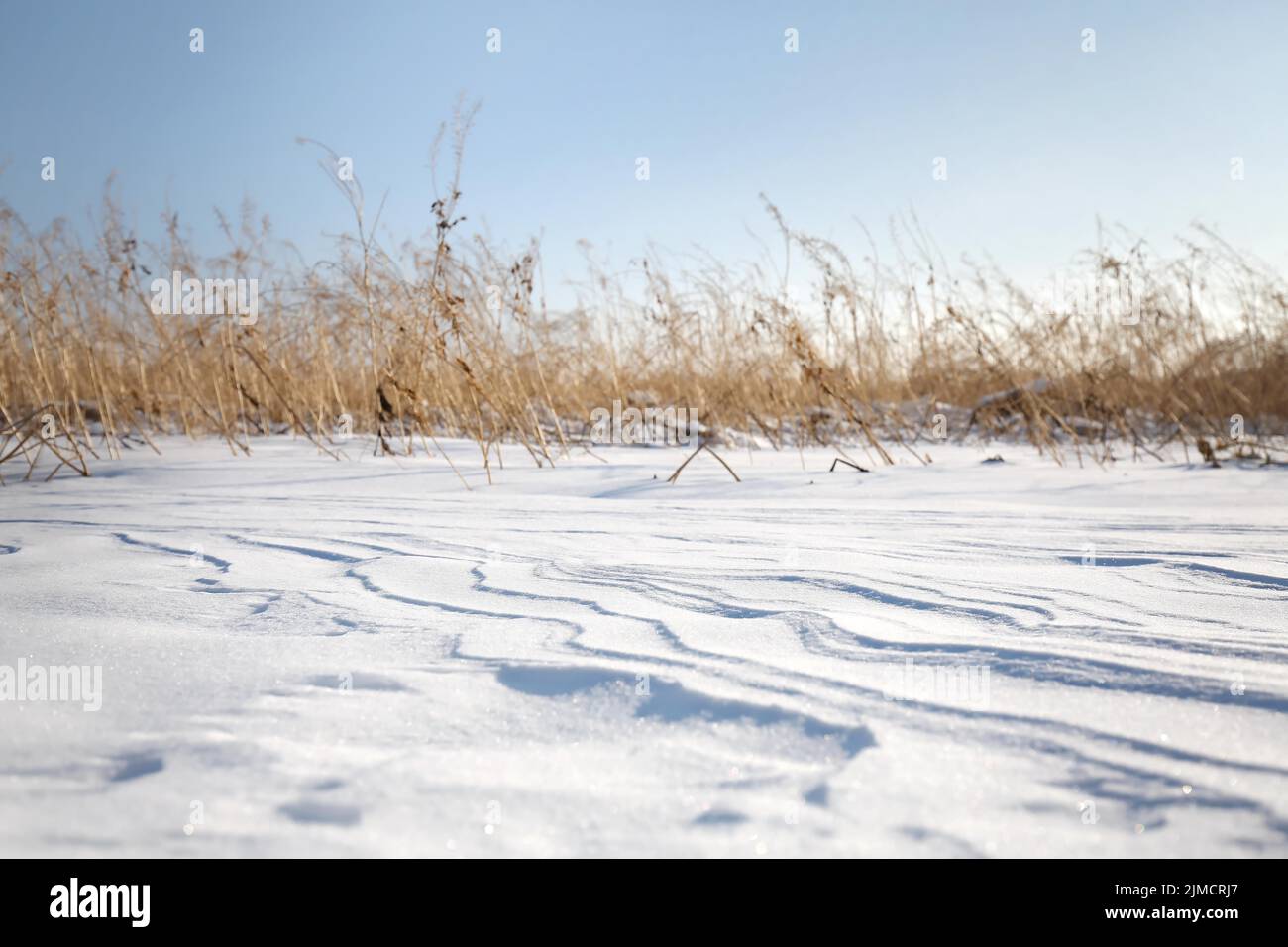 Snow drifts caused by wind from powder snow look like dunes and form ...