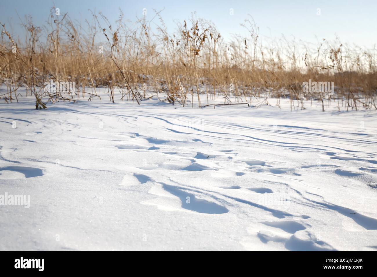Snow drifts caused by wind from powder snow look like dunes and form ...