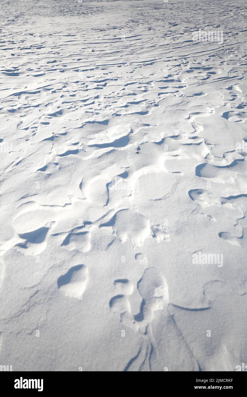 Snow drifts caused by wind from powder snow look like dunes and form ...