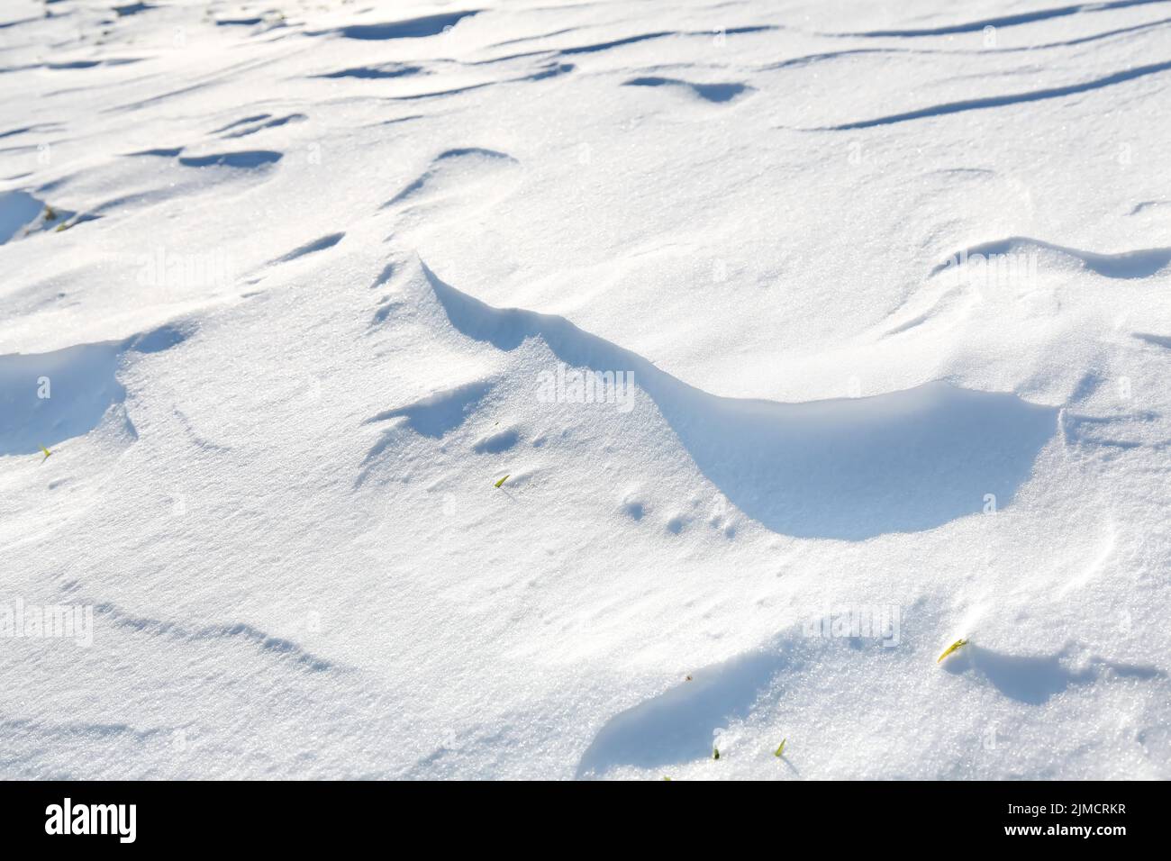Snow drifts caused by wind from powder snow look like dunes and form ...
