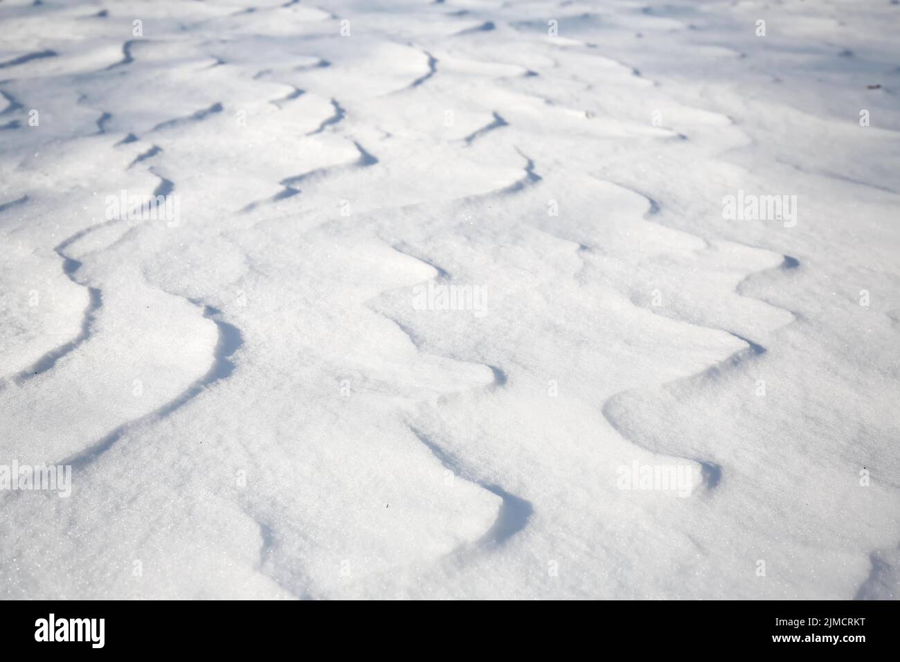 Snow drifts caused by wind from powder snow look like dunes and form ...