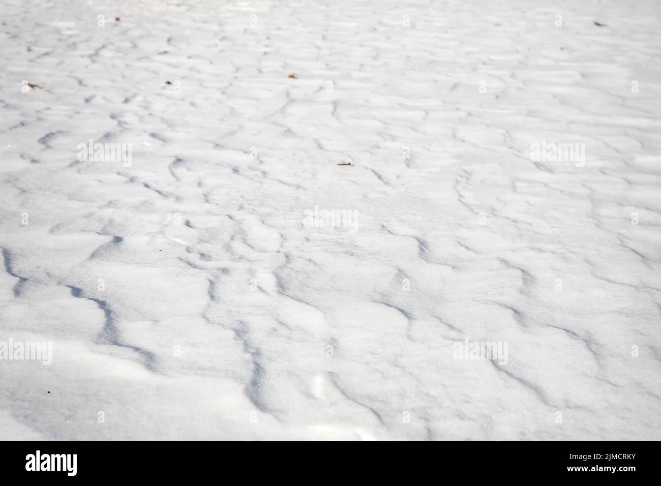 Snow drifts caused by wind from powder snow look like dunes and form ...