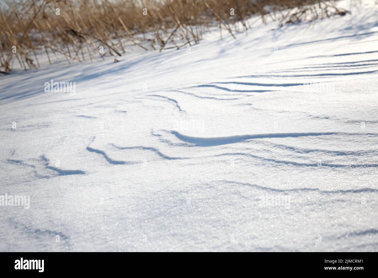 Snow drifts caused by wind from powder snow look like dunes and form ...