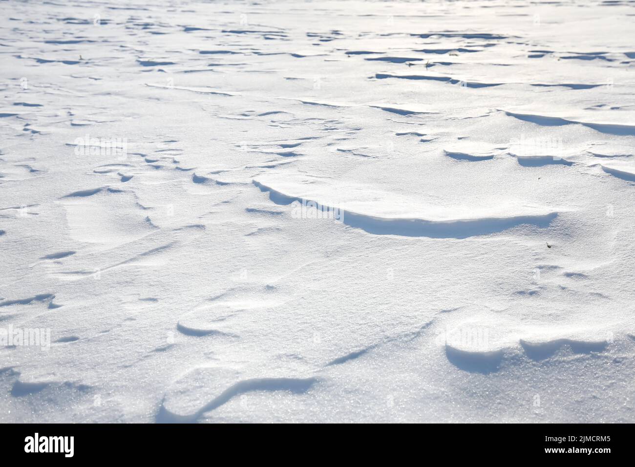 Snow drifts caused by wind from powder snow look like dunes and form ...
