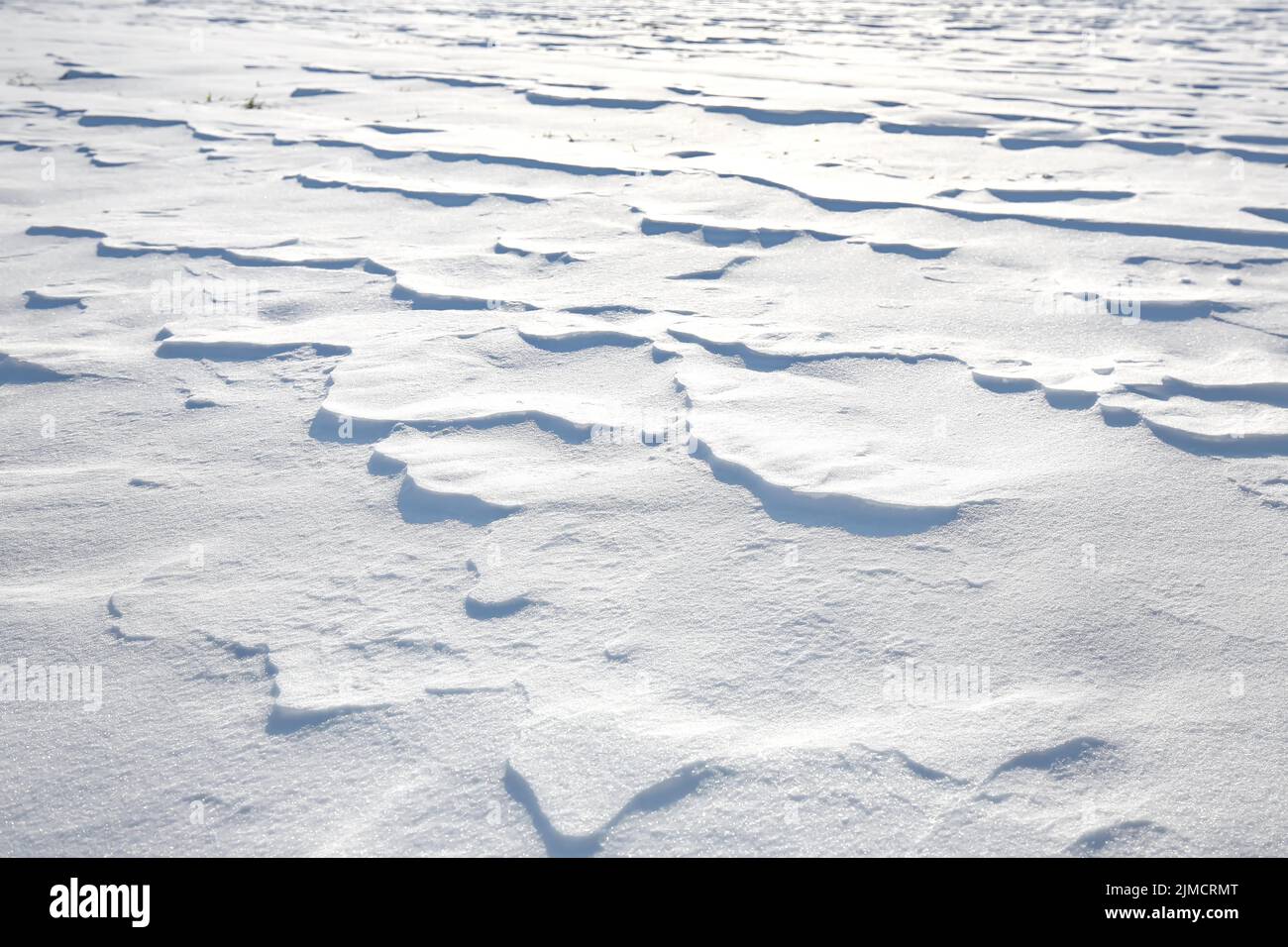 Snow drifts caused by wind from powder snow look like dunes and form ...
